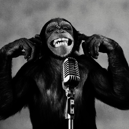 WHY HELLO THERE MONKE! - BNN